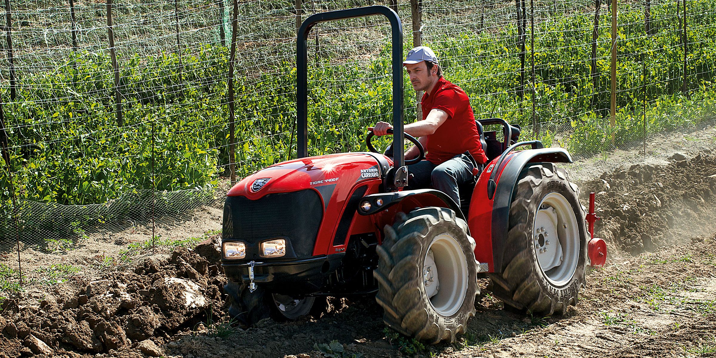 Utility Tractor Tigre 3800F | Antonio Carraro